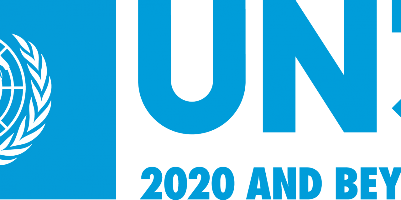 75ème anniversaire de l’organisation des Nations Unies 2020 | CAP ...